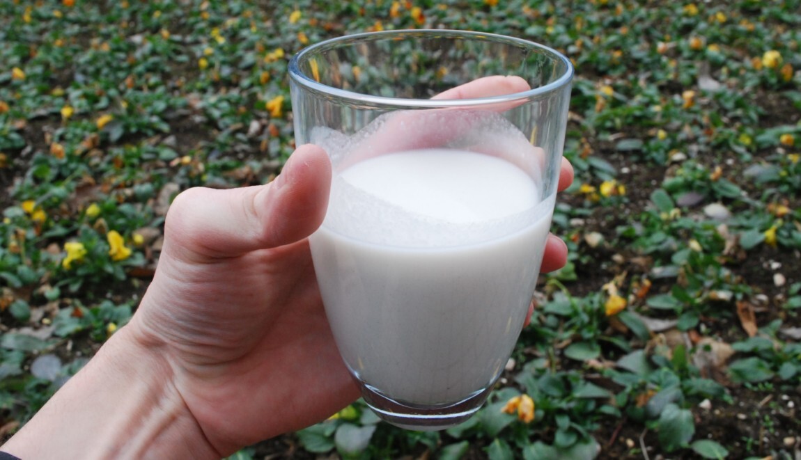 Így kezdtem el otthon növényi tejet készíteni magamnak egyszerűen – de ...